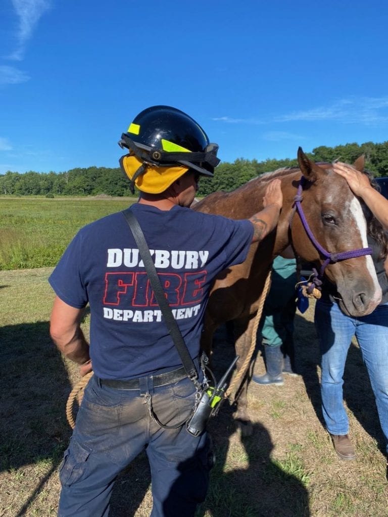 Hanson: Plymouth County Technical Rescue Team Helps Free Horse Stuck in ...
