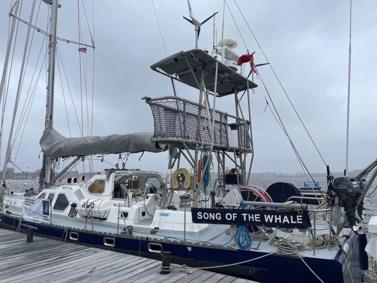 Stories from the Song of the Whale | WATD 95.9 FM