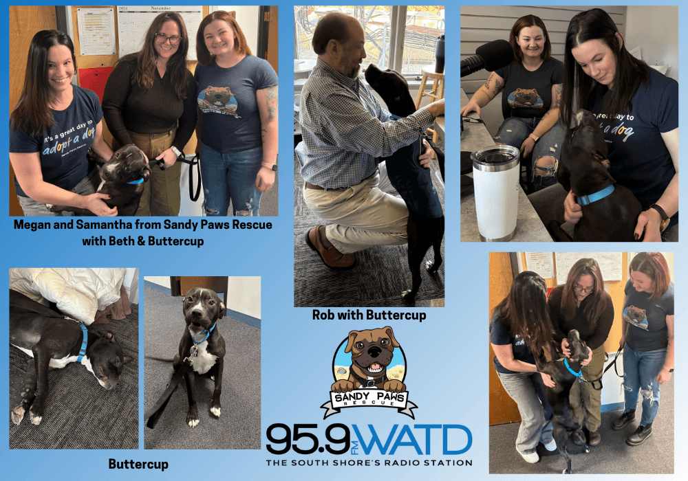 Paws N’ Claws with Sandy Paws Rescue and Special Furry Guest Buttercup ...